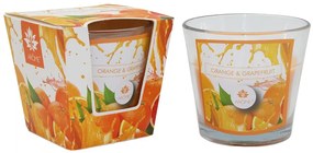 ARÔME Vonná svíčka pomeranč a grep 90 g (ARÔME)