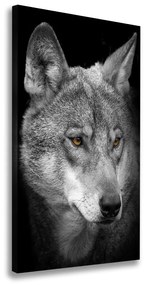 Wallmuralia Vertikální Foto obraz na plátně Portrét vlka 50x100