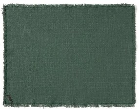 Bavlněná prostírání v sadě 2 ks 38x50 cm Handloom – Lorena Canals