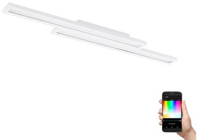 Eglo Eglo 99412 - LED RGB Stmívatelné stropní svítidlo SALITERAS-C 2xLED/10W/230V EG99412
