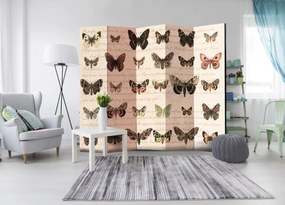 Paraván - Retro Style: Butterflies II [Room Dividers]
