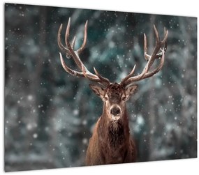 Obraz - Majestátnost jelena (70x50 cm)