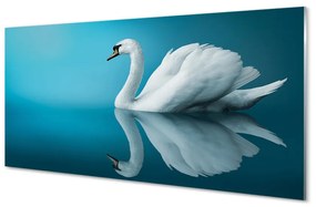 Obraz na skle Swan ve vodě 125x50 cm