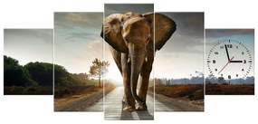 Gario Obraz s hodinami Osamělý silný slon - 5 dílný Rozměry: 150 x 105 cm