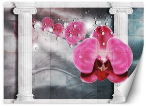 Fototapeta, Květiny Orchidej 3D sloupy - 350x245 cm