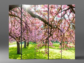 Paraván větve kvetoucí třešně Rozměr: 225 x 180 cm