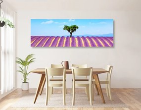 Obraz provensálské levandulové pole - 120x40 cm