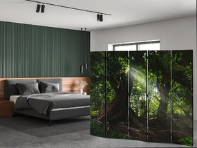 Paraván strom v deštném pralese Rozměr: 225 x 180 cm