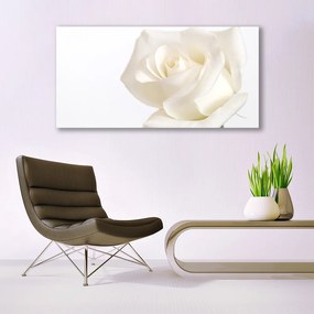 Plexisklo-obraz Růže Květiny 120x60 cm