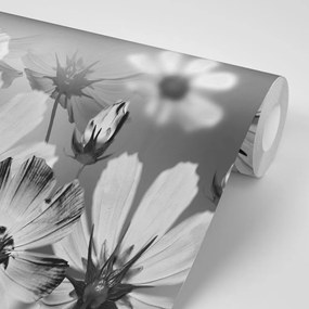 Samolepící tapeta květiny v černobílém provedení
