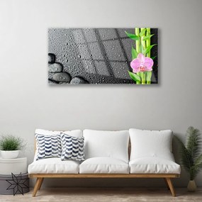 akrylový obraz Bambus Stonek Květ Rostlina 100x50 cm