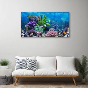 Obraz na plátně Akvárium Rybičky Pod Vodou 100x50 cm