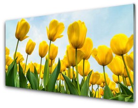 Obraz na skle Tulipány Květiny Rostlina 100x50 cm