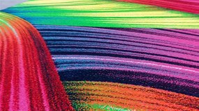Kusový koberec MULTI COLOR I 80x150