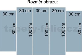Obraz na plátně les 1128S12, rozměr 150 x 100 cm, IMPOL TRADE
