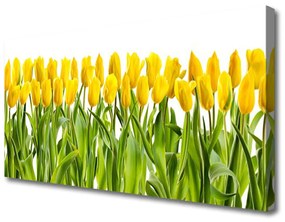 Obraz na plátně Tulipány Květiny Příroda 120x60 cm