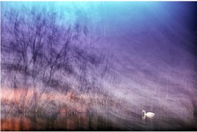 Jiří Hřebíček | Drifting Into A Dream Rám: Černý, Velikost: 30 x 40 cm