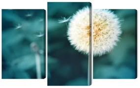 Vícedílný obraz Pampeliška Květ Zblízka 3D Nedostatek Nedostatek Plátno Canvas 120x80