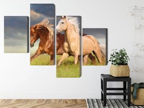 Vícedílný obraz Koně Cválající Na 3D Louce Nedostatek Nedostatek Plátno Canvas 240x150
