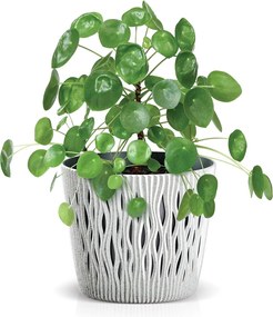 Květináč SCANDY ECO s vkladem antracit