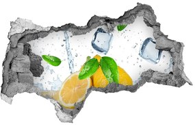 Wallmuralia Samolepící nálepka Citrony s ledem 95x73 cm