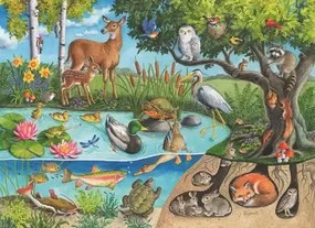 Ravensburger Puzzle: Zvířata na zemi i pod ní - tajemství přírody / 60