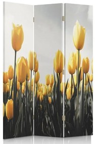 Gario Paraván Louka žlutých tulipánů Rozměry: 145 x 170 cm, Provedení: Klasický paraván