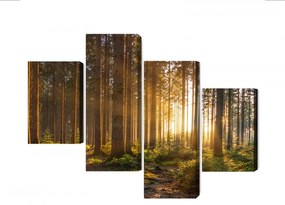 Vícedílný obraz Západ Slunce V Lese Nedostatek Nedostatek Plátno Canvas 120x75