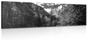 Obraz černobílá horská krajina