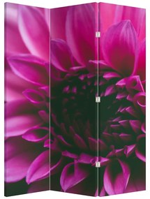 Paraván - Růžový květ (126x170 cm)
