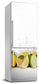 Wallmuralia Nálepka na ledničku do domu fototapeta Citrusy 60x180 cm