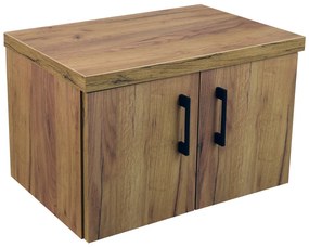Comodo Koupelnová skříňka pod deskové umyvadlo Agria II GO 60-HD - zlatý dub/zlatý dub