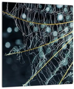 Obraz -Květ s pavučinou (30x30 cm)