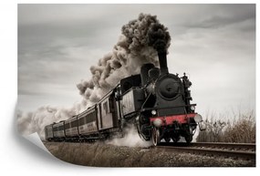 Fototapeta Vintage Lokomotiva V Pohybu Omyvatelný vlies 360x240