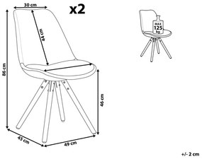 Sada dvou šedých židlí DAKOTA Beliani