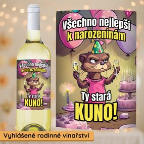Ahome CZ Víno Ty stará kuno