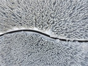 Tomáš Neuwirth | Mrazivá cesta Rám: Černý, Velikost: 40 x 60 cm