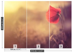 Fototapeta Makový květ 104x70