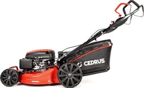 Hahn & Sohn Cedrus Benzínová sekačka s pojezdem KS53SV-E HP16792