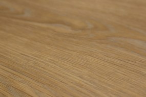 IVC Commercial, PVC podlaha - lino Logitex Ultimate 55 Elias T44, na míru, šíře 2m,4m, hnědá, filc, chodba / předsíň