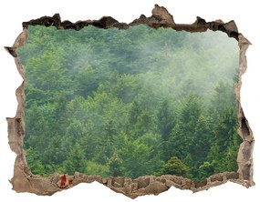 Wallmuralia Samolepící díra nálepka Tajemný les 95x64 cm