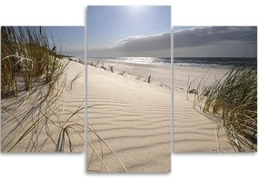 Gario Obraz na plátně Duny na pláži - 3 dílný Rozměry: 60 x 40 cm