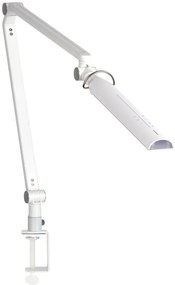 Stolní LED lampička Amadeus Profesional bílá