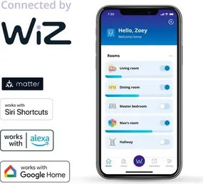 WiZ G95 E27 / Chytrá LED žárovka / Wi-Fi/Bluetooth / 11W / 1055 lm / 2