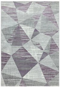 Moderní kusový koberec Orion OR13 šedý / fialový Rozměr: 200x290 cm
