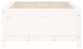 Zahradní truhlík bílý 82,5 x 82,5 x 39 cm masivní borové dřevo - Default Title