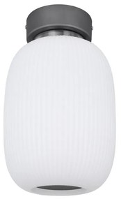 Globo | Globo 15437D1 - LED Stropní svítidlo BOOMER LED/21W/230V | GL6169