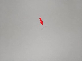 Kulatý jídelní stůl ø 120 cm Jorre - II. jakost – WOOOD