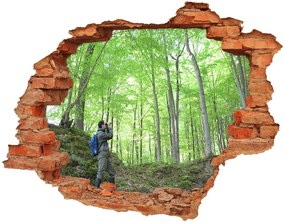 Wallmuralia Fototapeta díra na zeď Ornitolog v lese 90x70 cm