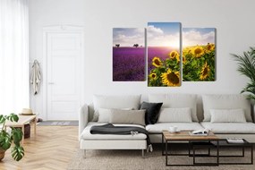 Vícedílný obraz Levandulová A Slunečnicová Pole 3D Nedostatek Nedostatek Plátno Canvas 120x80